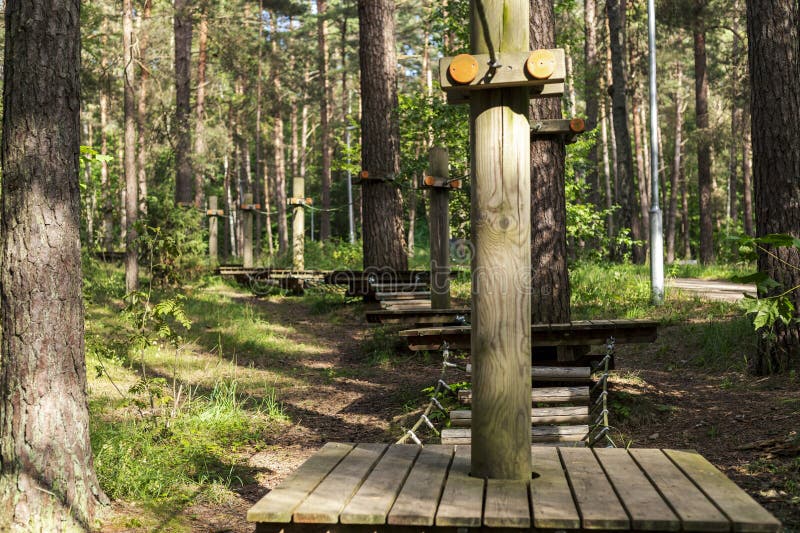 Discover an Exciting Tree Climbing Park Set in a Verdant Forest ...