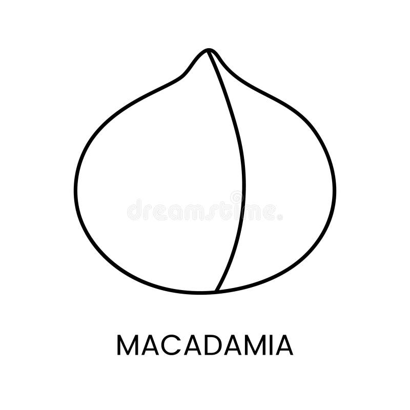 Macadamia Line Stock Illustrations – 957 Macadamia Line Stock ...