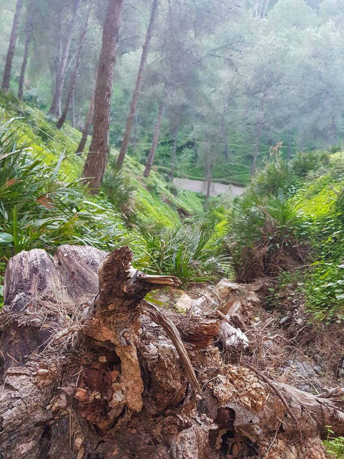 Discover the Quiet Mountain Beauty in a Breathtaking Nature Stock Image ...