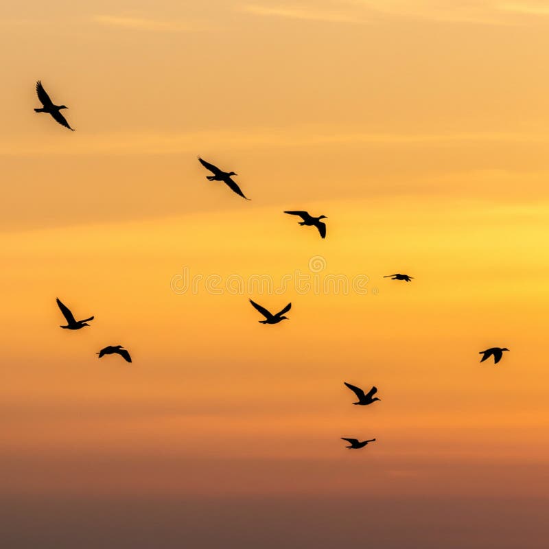 AI-Generated Seamless Pattern Design for Textiles, Wallpapers, and ...