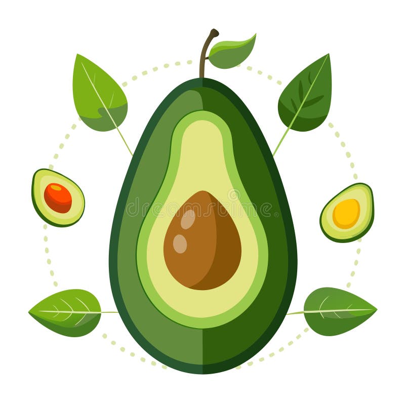 Discover the Variety of Avocado Types and Educate Yourself on the ...