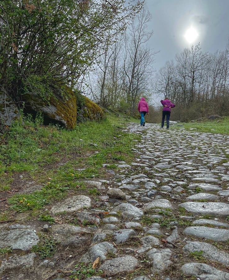 Discovering new paths. stock photo. Image of beautiful - 217448266