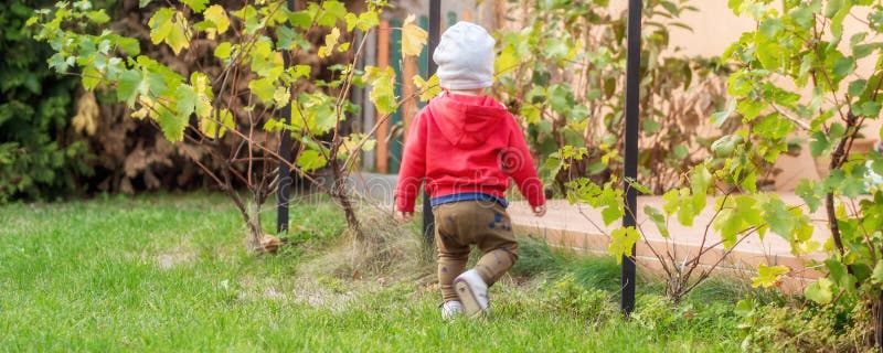 Discovering the World of One Year Old Boy Stock Photo - Image of ...