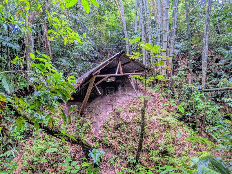 Discovery of an Ancient Tomb in the Forest Stock Photo - Image of ...