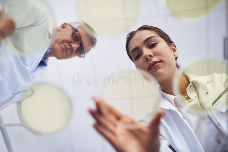 Discovery, Science and Teamwork with People in Laboratory from Below ...