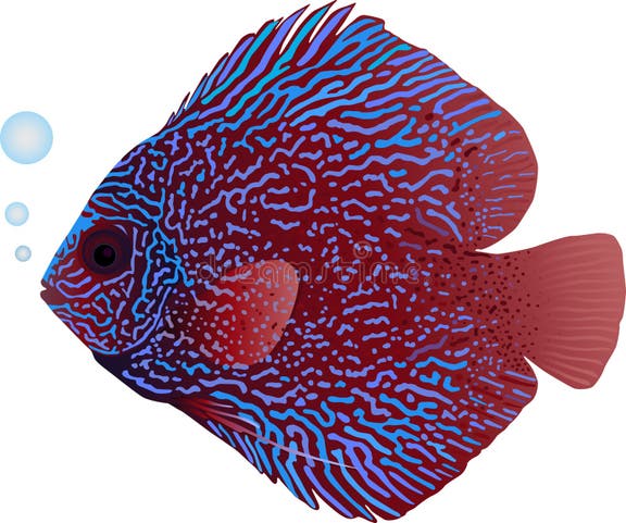 Discus Fish Vector Stock Illustrations – 752 Discus Fish Vector Stock ...