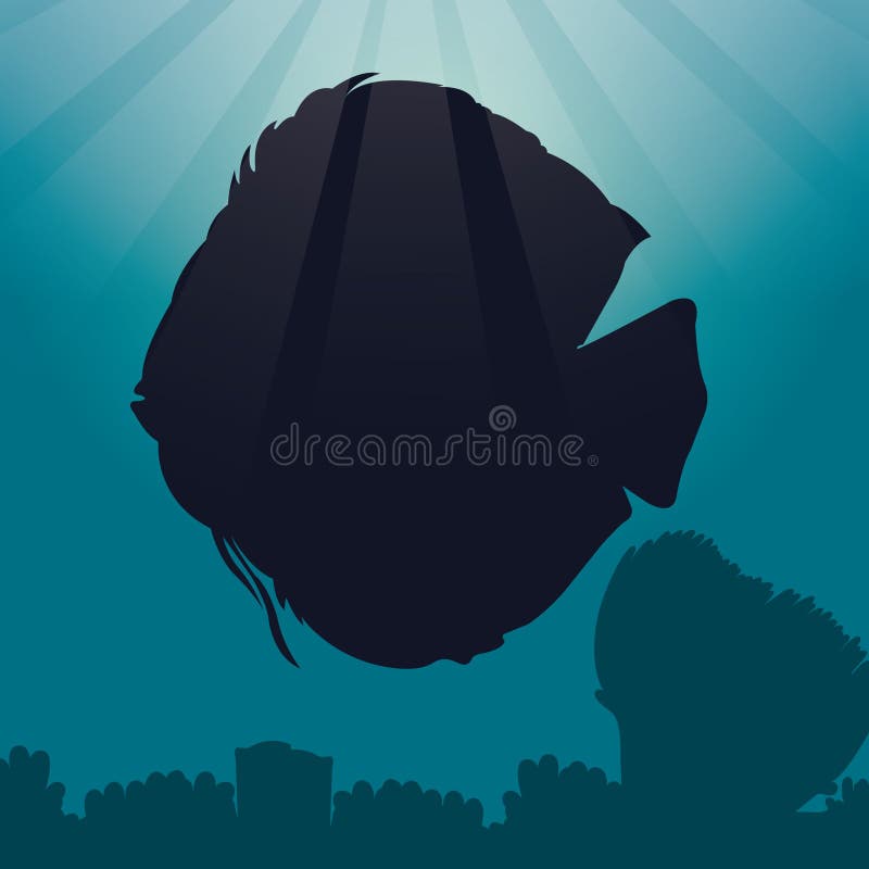 Discus Fish Silhouette. Vector Illustration Decorative Design Stock ...