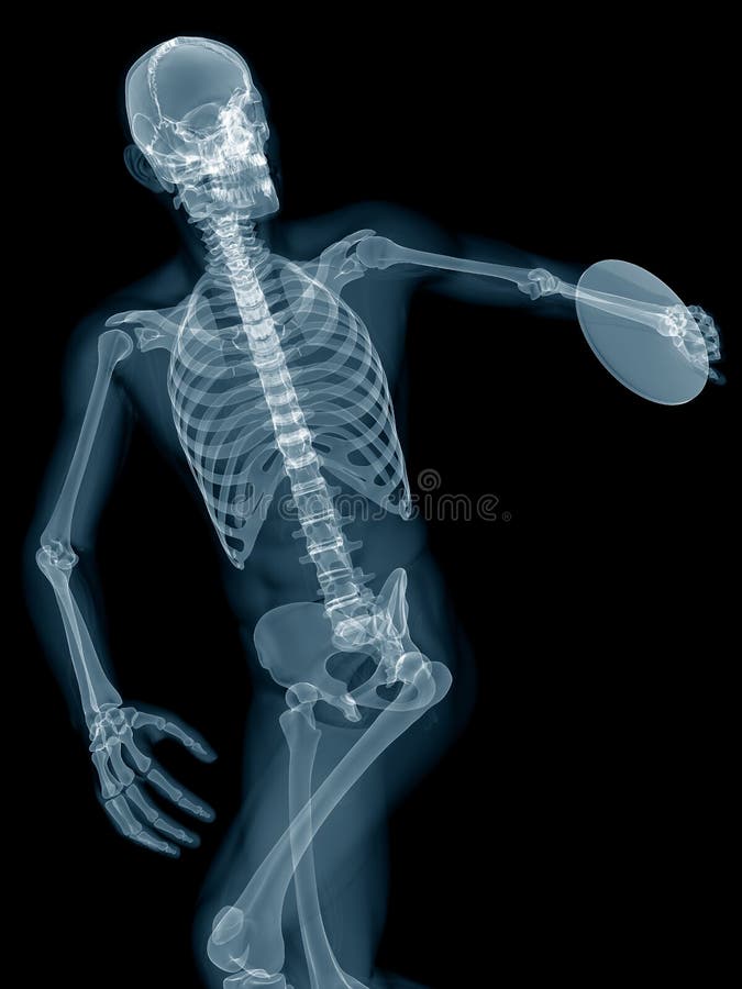 A discus thrower stock illustration. Illustration of skeleton - 100246405