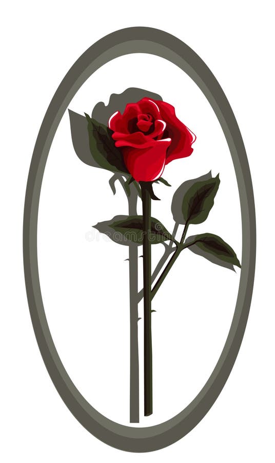 Diseñador Rose De Color Rojo Oscuro Ilustración del Vector ...