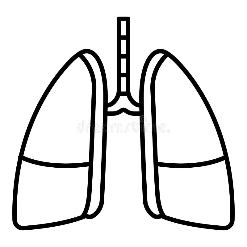 Lungs icon, outline style stock vector. Illustration of breathe - 136619875 Lungs icon, outline style stock vector. Illustration of breathe - 136619875