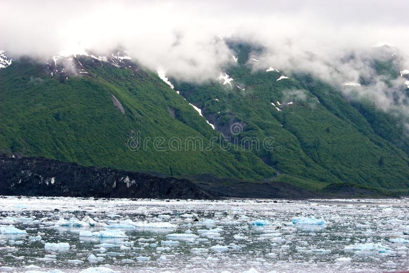 Disenchantment Bay stock photo. Image of tidewater, nature - 7402554