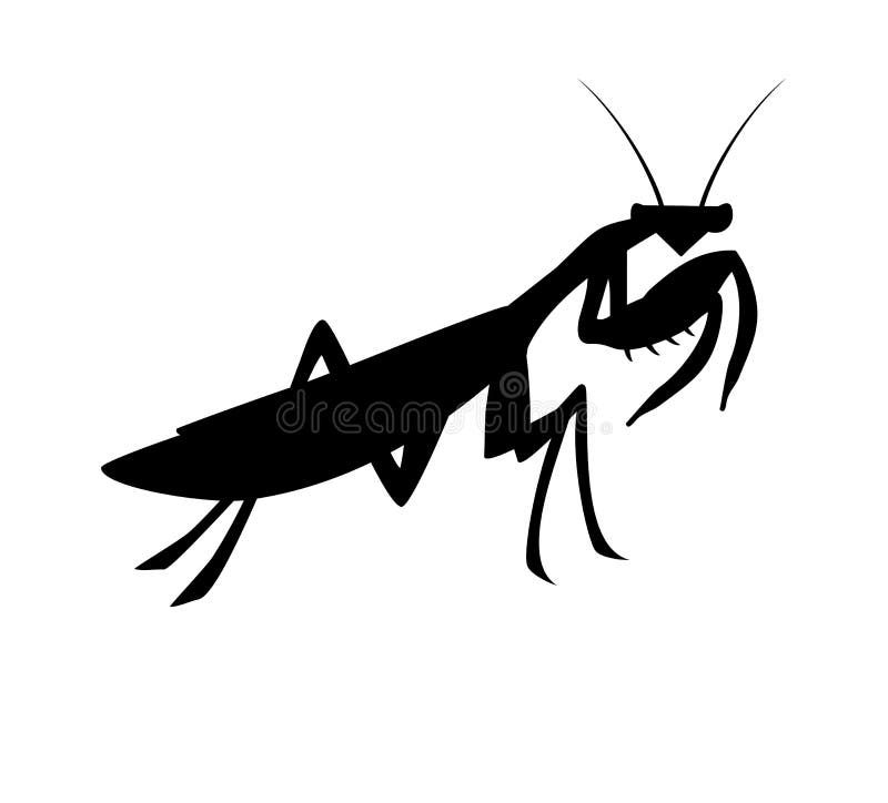 Silueta De Mantis. Logotipo De Insectos Ilustración del Vector - Ilustración de macro, aislado ...