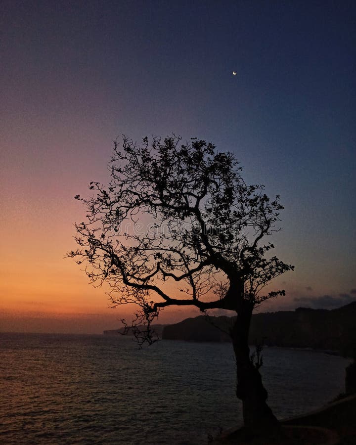 Disfrutar Del Momento De La Puesta De Sol Foto de archivo - Imagen de ...