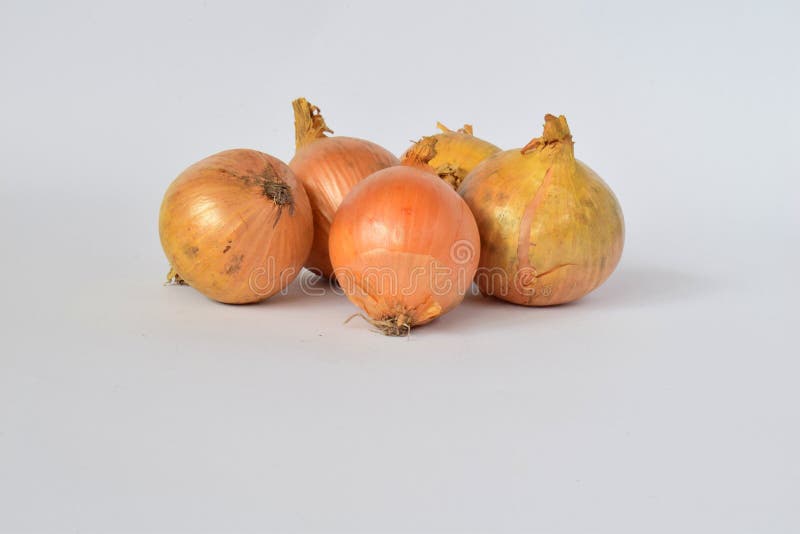 Cabeza De Cebolla, Aislada Sobre Un Fondo Blanco Foto de archivo ...