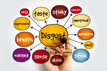 Word Disgust Stock Illustrations – 203 Word Disgust Stock Illustrations ...