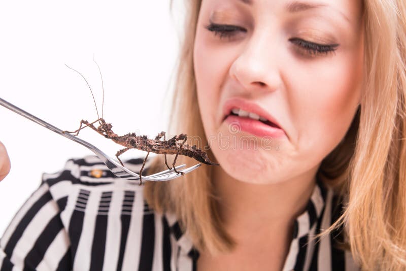 Disgusted Woman Eating Insects with a Fork in a Restaurant Stock Photo ...