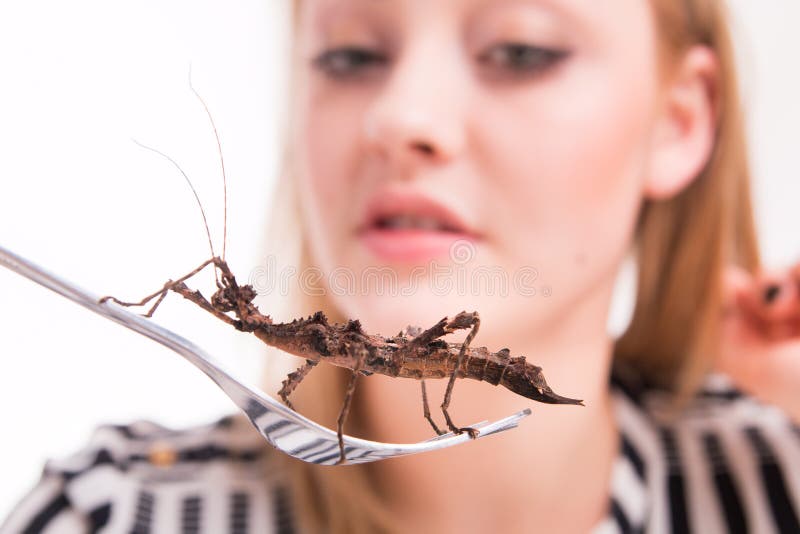 Disgusted Woman Eating Insects with a Fork in a Restaurant Stock Image ...