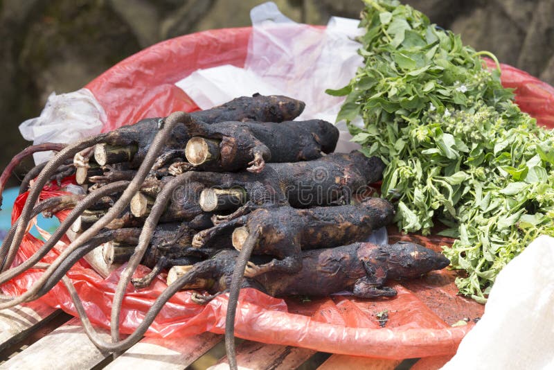 Disgusting Cooked Rats at Market Stock Photo - Image of covid ...