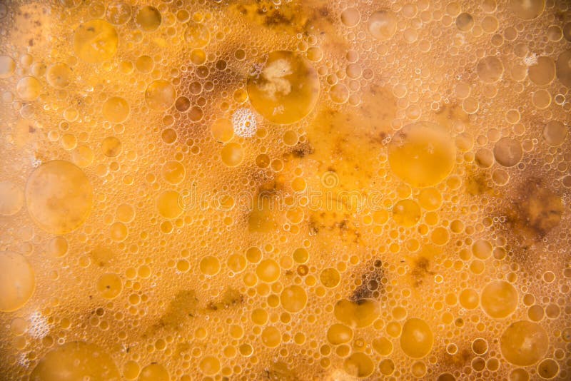 Disgusting Mixture of Fat, Water and Detergent Stock Image - Image of ...