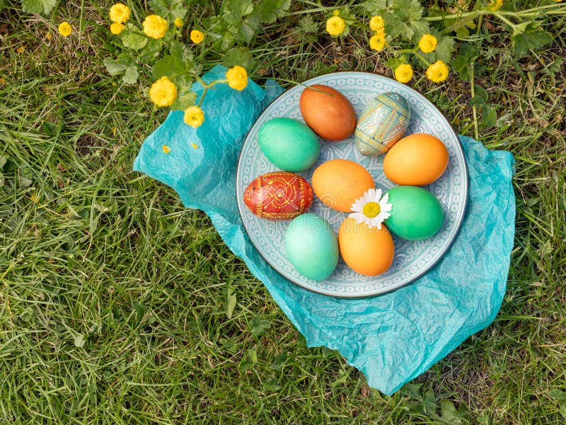 Plate with Colored Easter Eggs on Green Grass Stock Photo - Image of ...