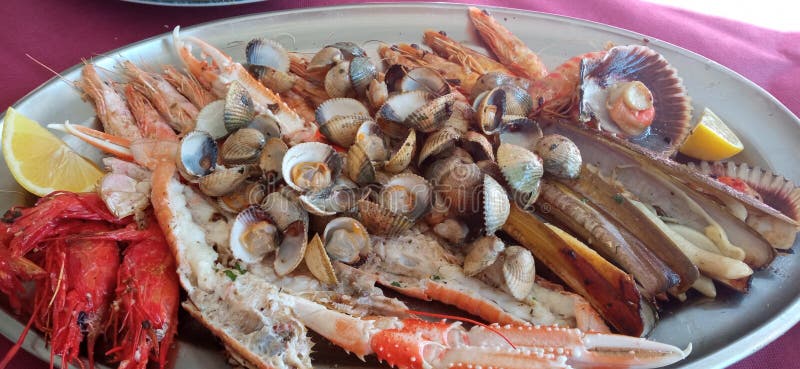 Shellfish. Prawn, Shrimp, Crayfish, Cockle... Stock Image - Image of ...
