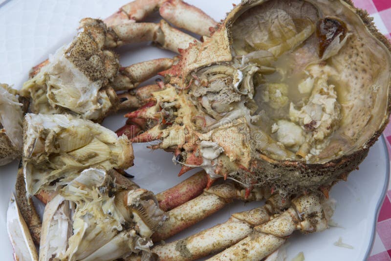 Dish cooked crab stock image. Image of crab, food, lemon - 44759699