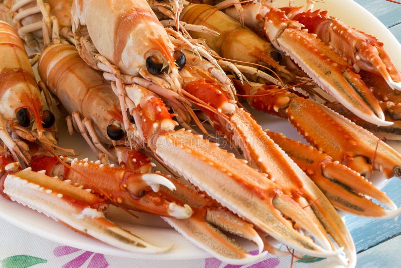 Dish of cooked crawfish stock image. Image of white, shell - 91490907