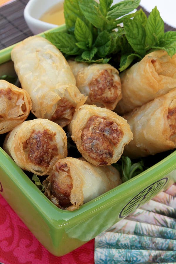 Dish of Cooked Spring Rolls Stock Image - Image of cooked, dish: 172272225