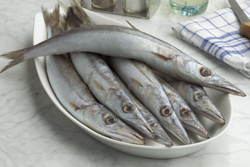 Dish with Fresh Barracuda Fishes Stock Image - Image of seafish, fishes ...