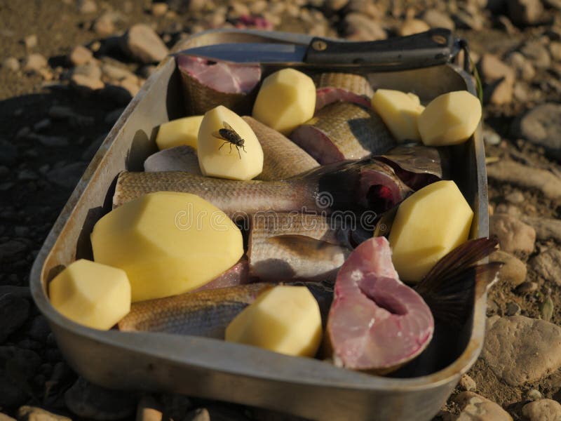 Dish with Large Flat Slice of Grayling Fly on Pebble Stock Photo ...