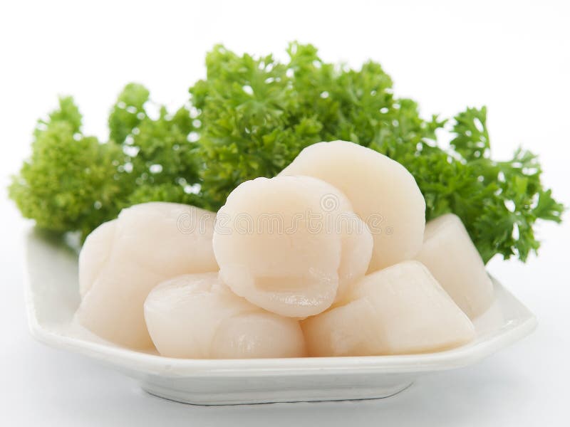 A dish of Scallop meat stock image. Image of closeup - 126764321