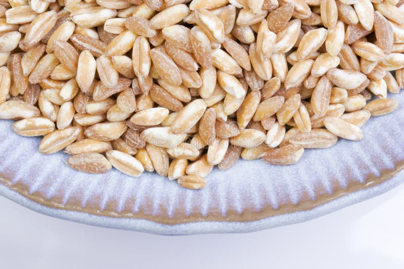 Dish Of Wheat Berries Picture. Image: 4413691