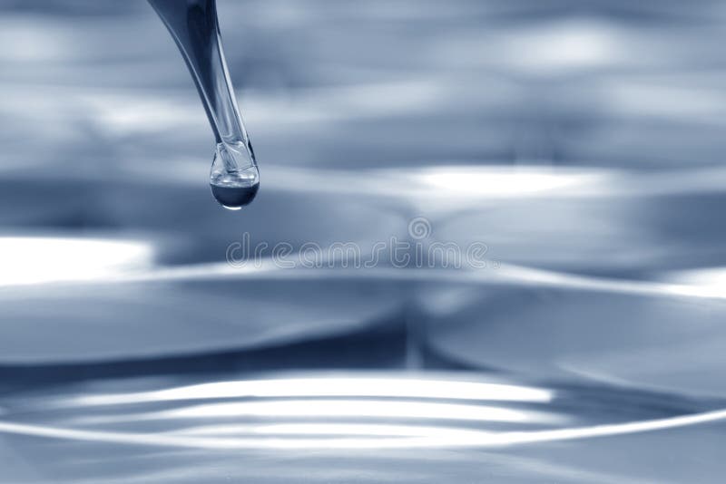 Dishes Lab Petri Research Science Стоковое Изображение - изображение ...