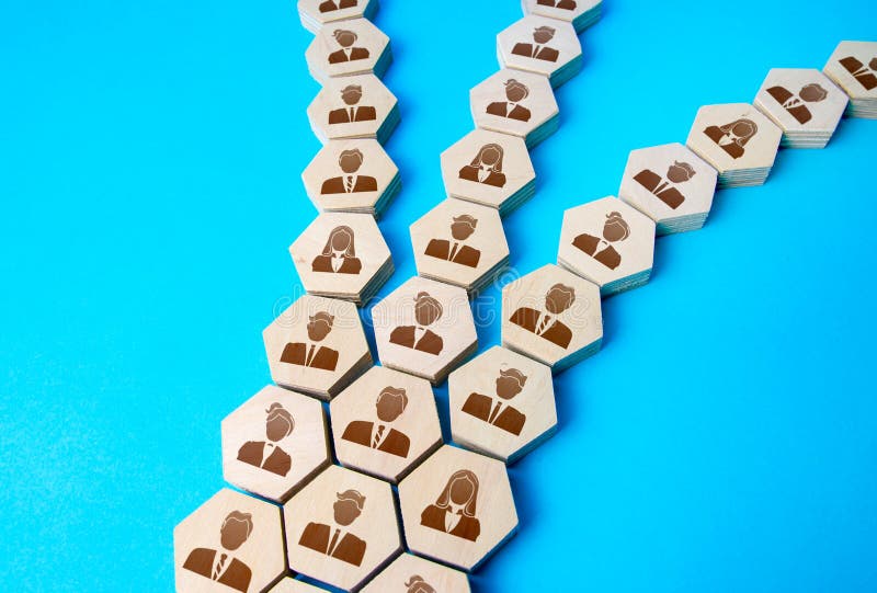 The Disintegration of the Organization into New Branches. Conflict and ...