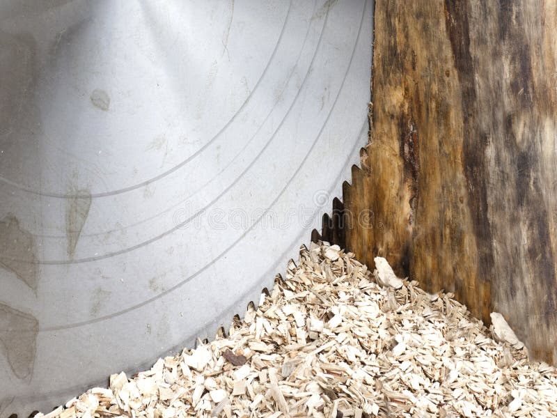 Disk saw stock photo. Image of isolated, carpentry, professional ...