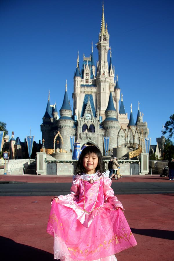 Disney Castle editorial stock image. Image of castle - 11778549