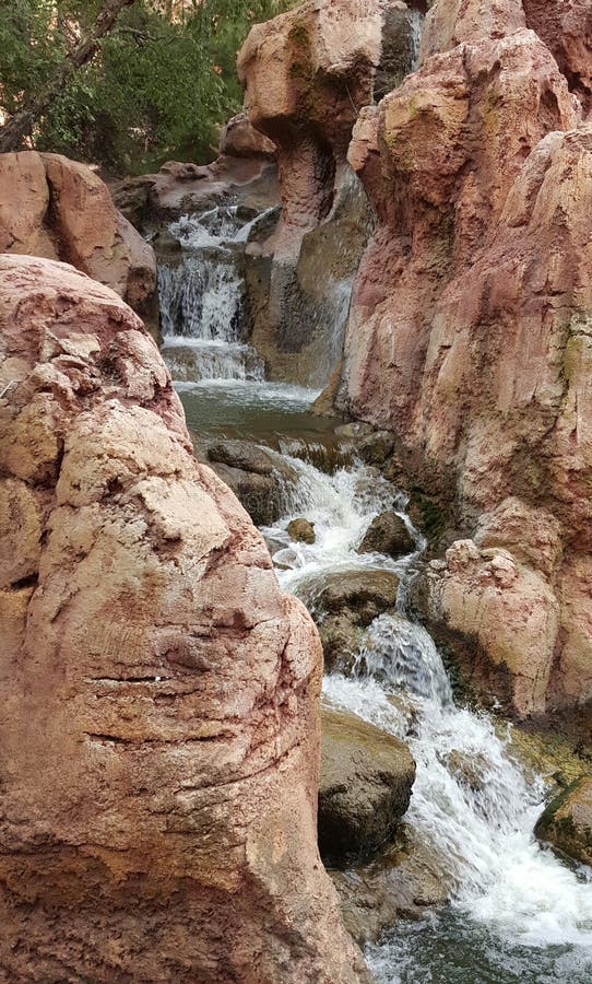 Disney Landscaping editorial photography. Image of disney - 94828037