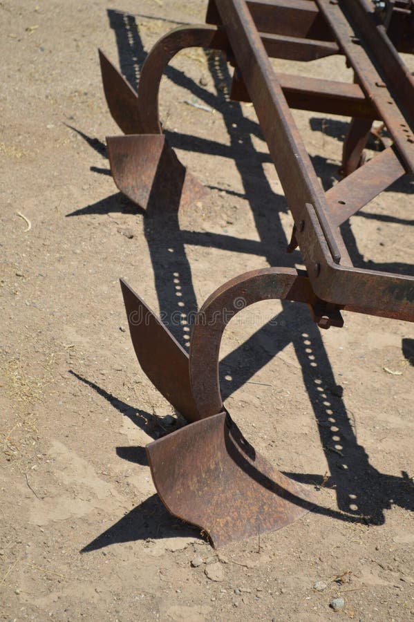 Disparo Vertical De Hojas De Labranza Foto de archivo - Imagen de ...