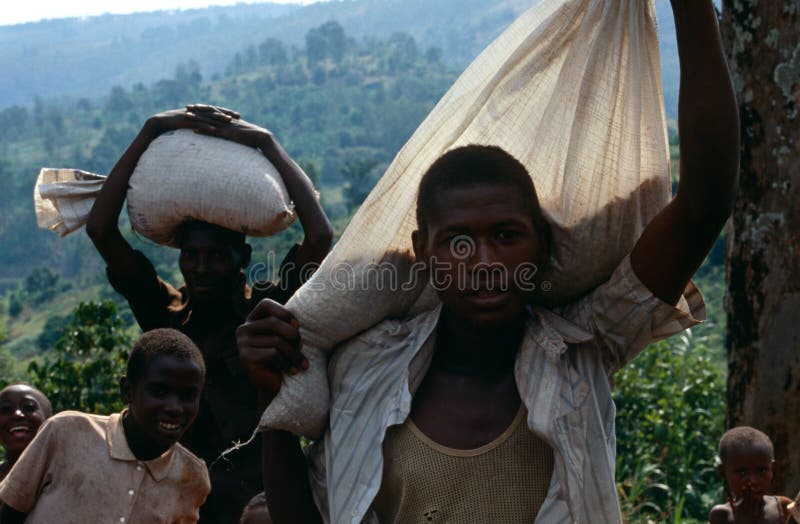 Displaced Boys editorial photo. Image of flood, silhouette - 7525846