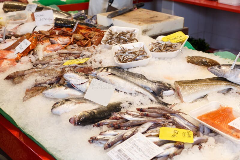 Display with Assorted Seafood Stock Image - Image of cool, heap: 255785091