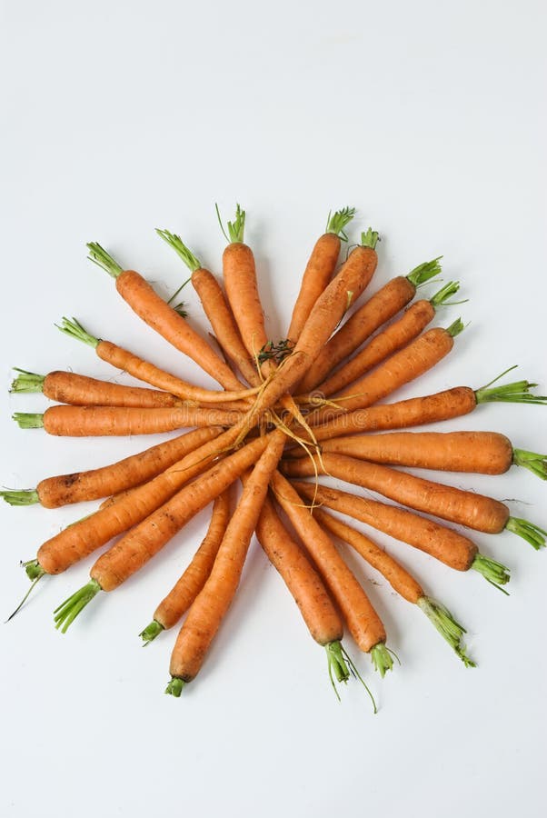 A Display of Carrots from the Garden Stock Image - Image of vegetarian ...