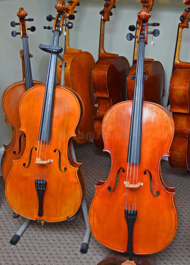 Display of Cellos in Raleigh Music Shop Stock Photo - Image of ...