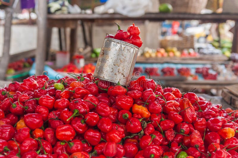 Display of chilli stock image. Image of exotic, diet - 23837911