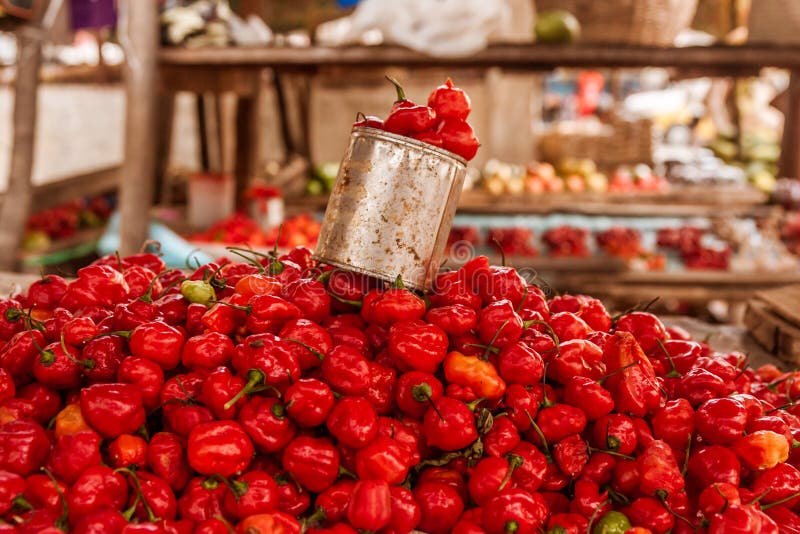 Display of chilli peppers stock photo. Image of north - 170287648