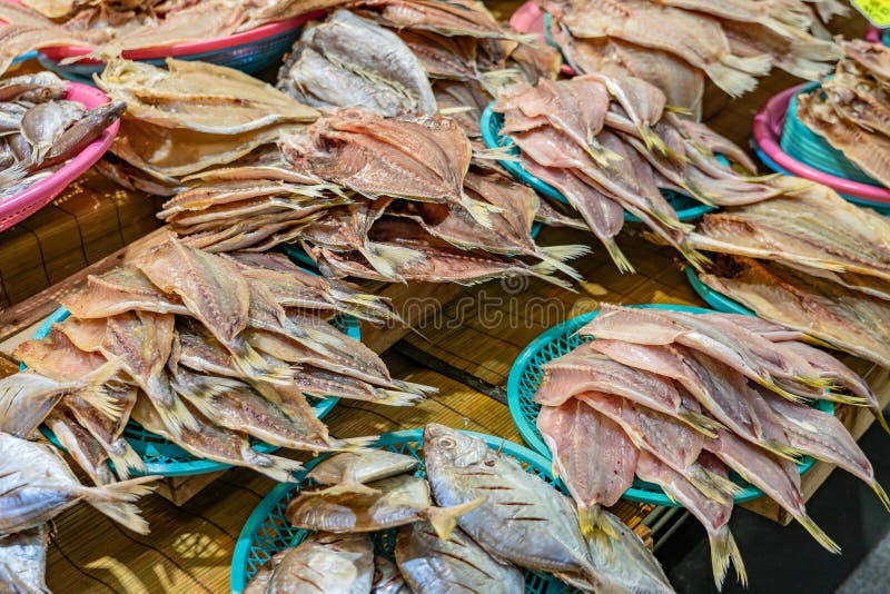 A Display Of Dried Lavender With Sea Shells Stock Photo - Image of ...