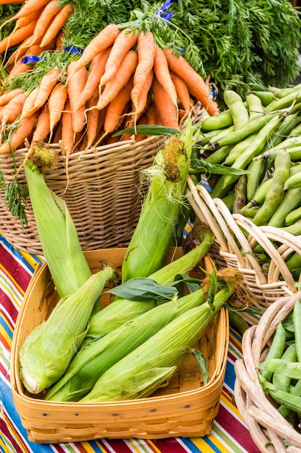 Display of Fresh Produce at the Market Stock Image - Image of carrot ...