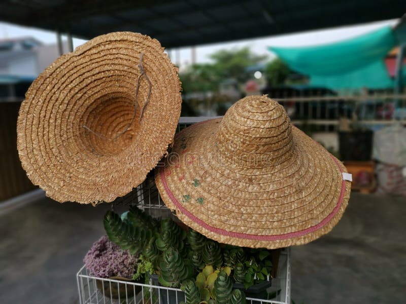 Display of Head Protection Straw Hat Use by Farmer Stock Photo - Image ...