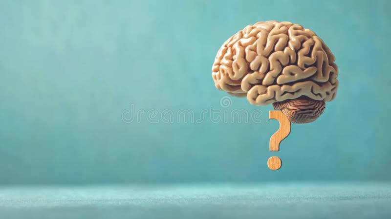 Display of a Human Brain Symbolizing Thought and Curiosity Against a ...