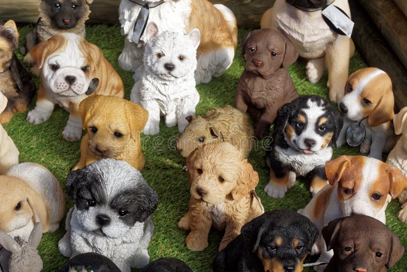 Display of Model Dogs stock photo. Image of sitting, domestic - 51299040