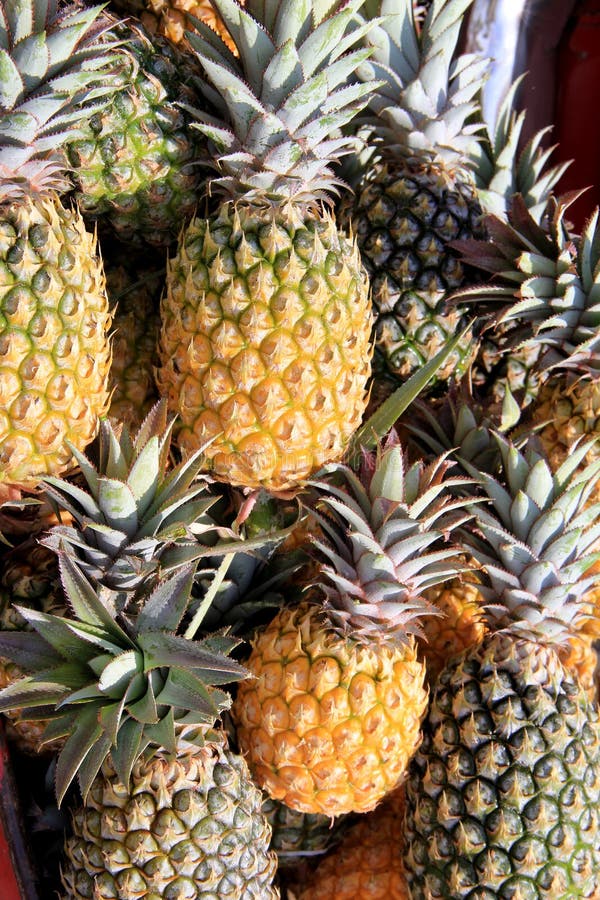 Pineapples At Outdoor Market In Ghana Stock Photo - Image of plentiful ...